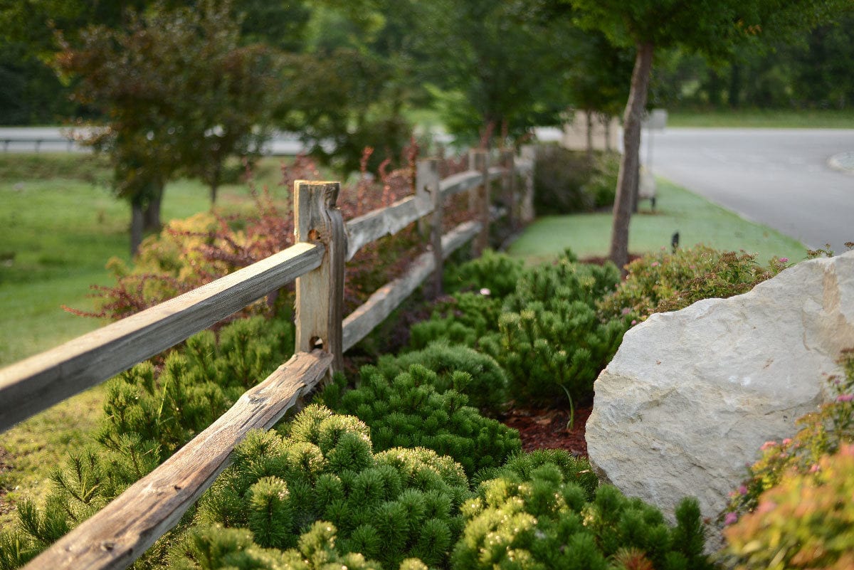 Projects - Belle Firma | Landscape Architecture Firm, Dallas TX
